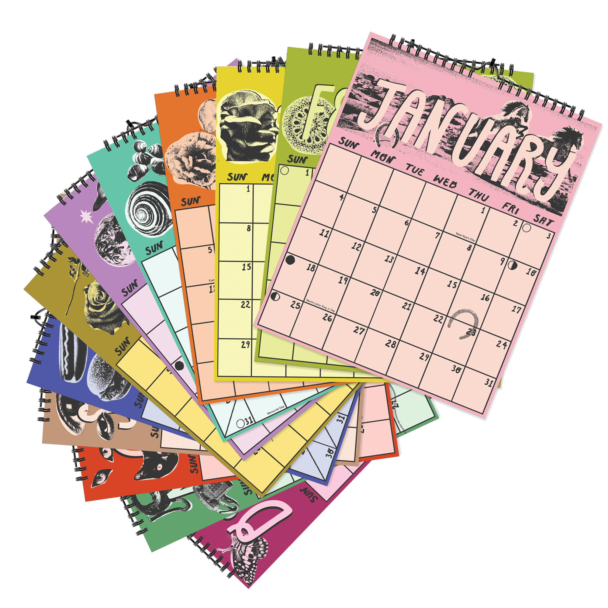 Wall Calendars – The Rainbow Vision